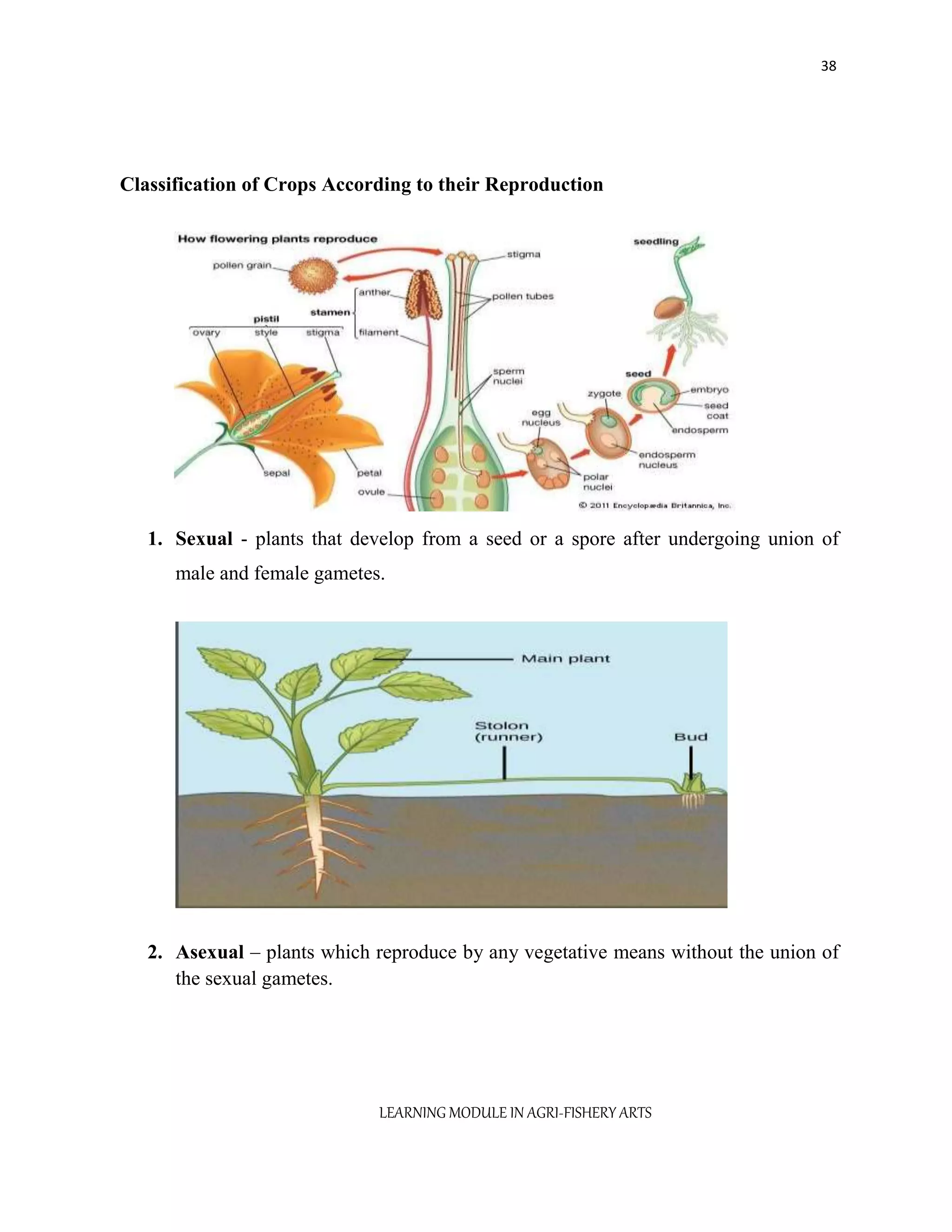 AGRI-FISHERY-CHAPTER-1.docx