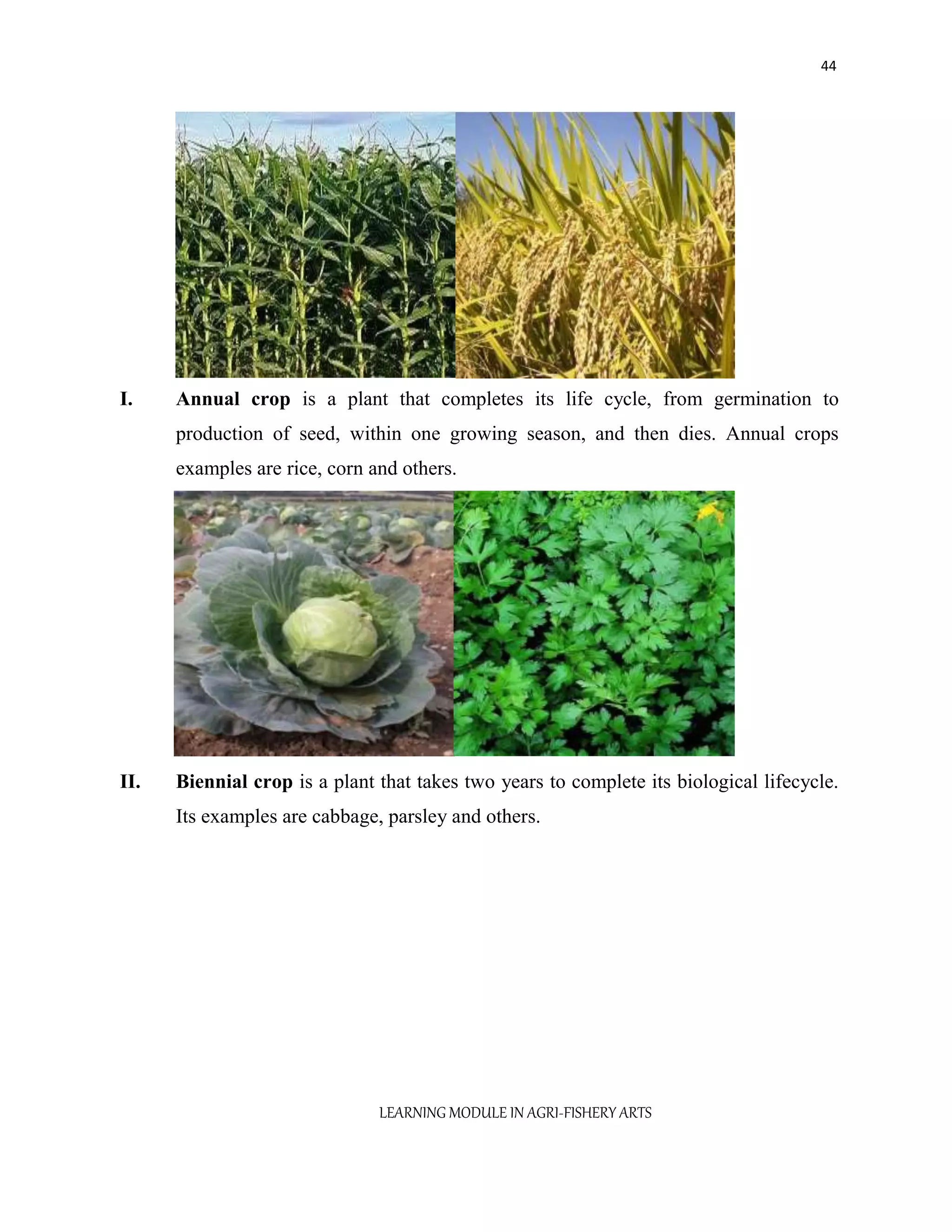 AGRI-FISHERY-CHAPTER-1.docx