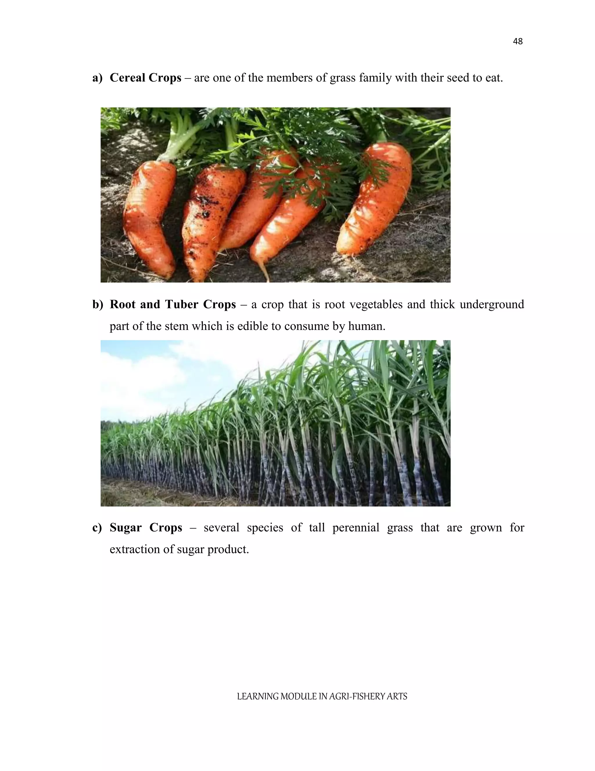 AGRI-FISHERY-CHAPTER-1.docx