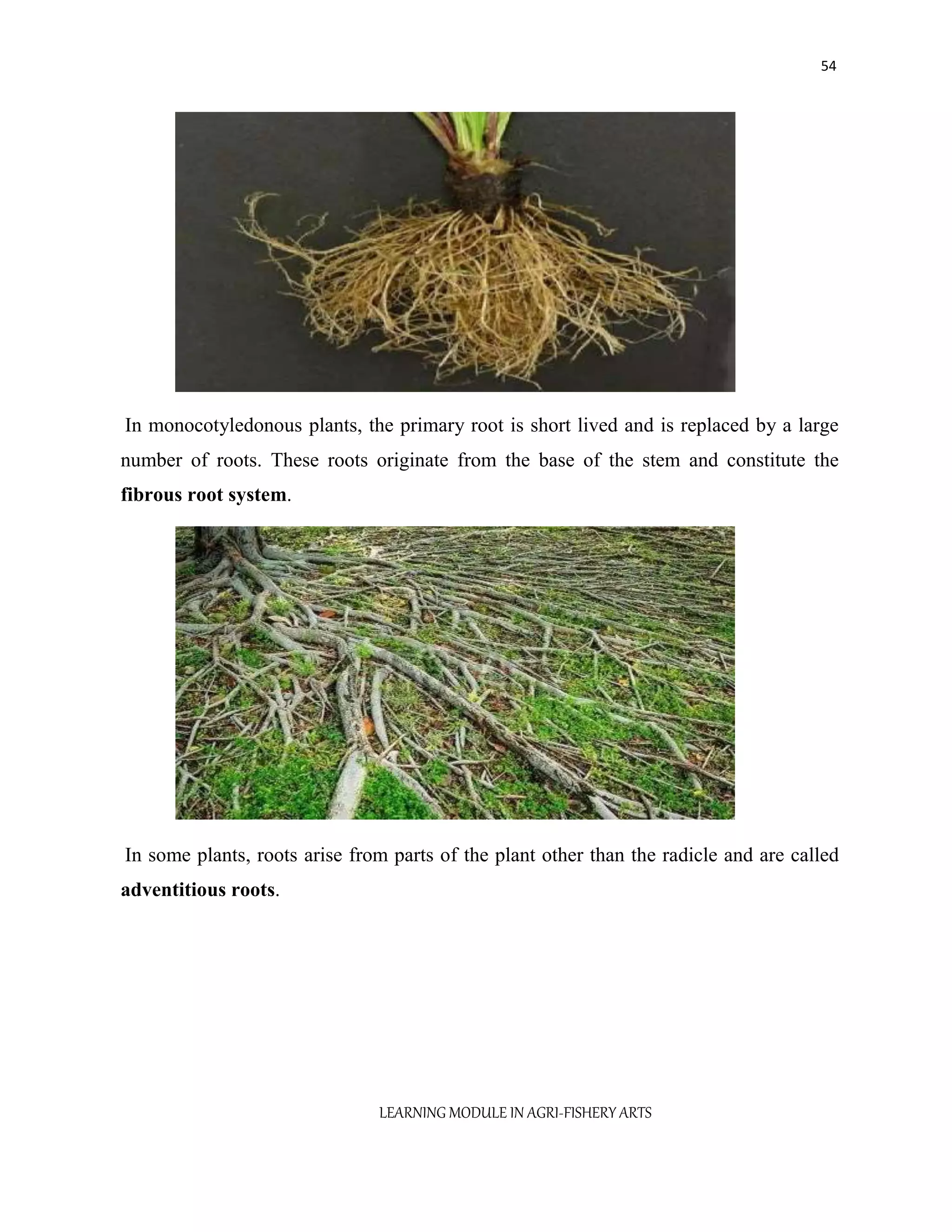 AGRI-FISHERY-CHAPTER-1.docx