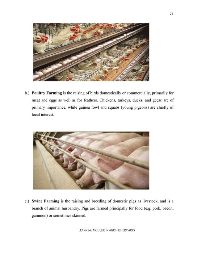 AGRI-FISHERY-CHAPTER-1.docx