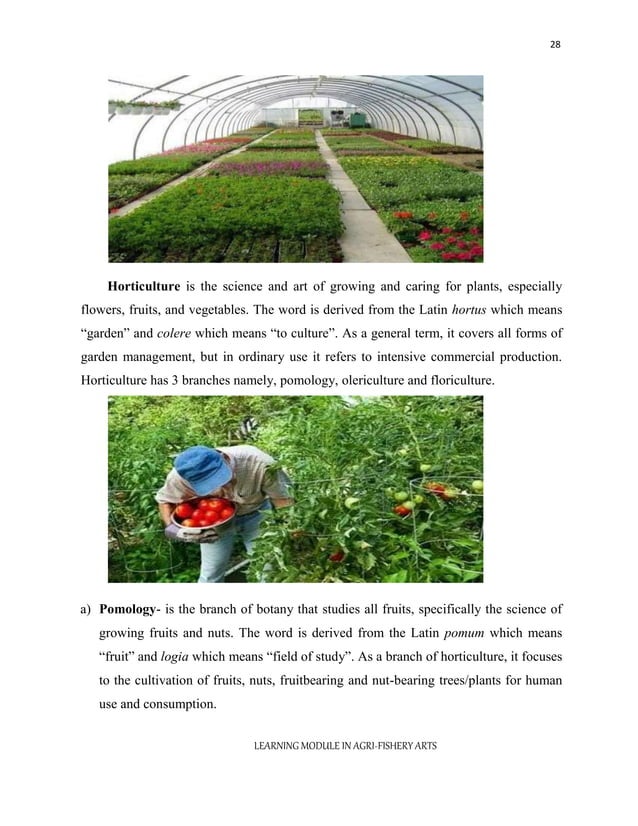 AGRI-FISHERY-CHAPTER-1.docx