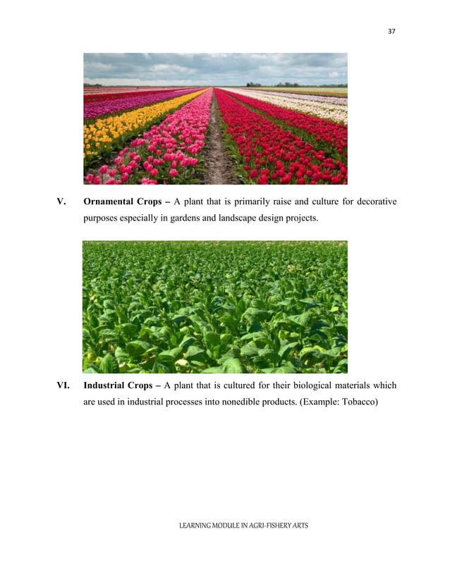 AGRI-FISHERY-CHAPTER-1.docx