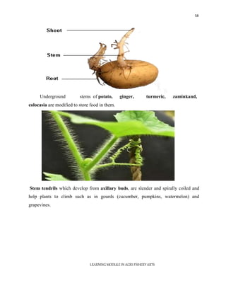 AGRI-FISHERY-CHAPTER-1.docx