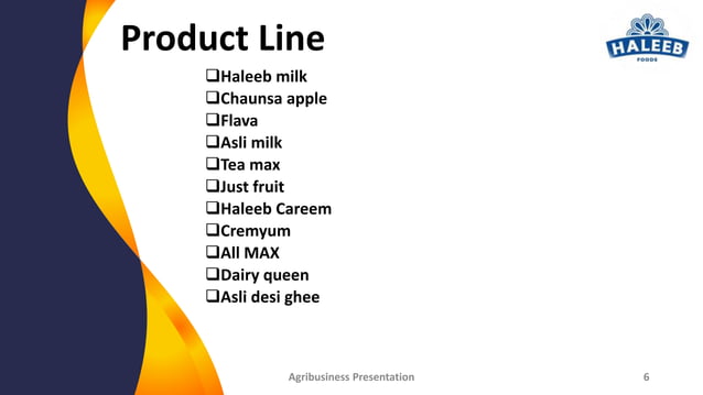Presentation on Haleeb Foods | PPTX