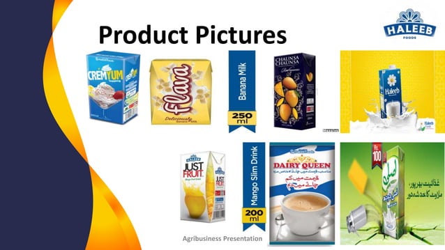 Presentation on Haleeb Foods | PPTX