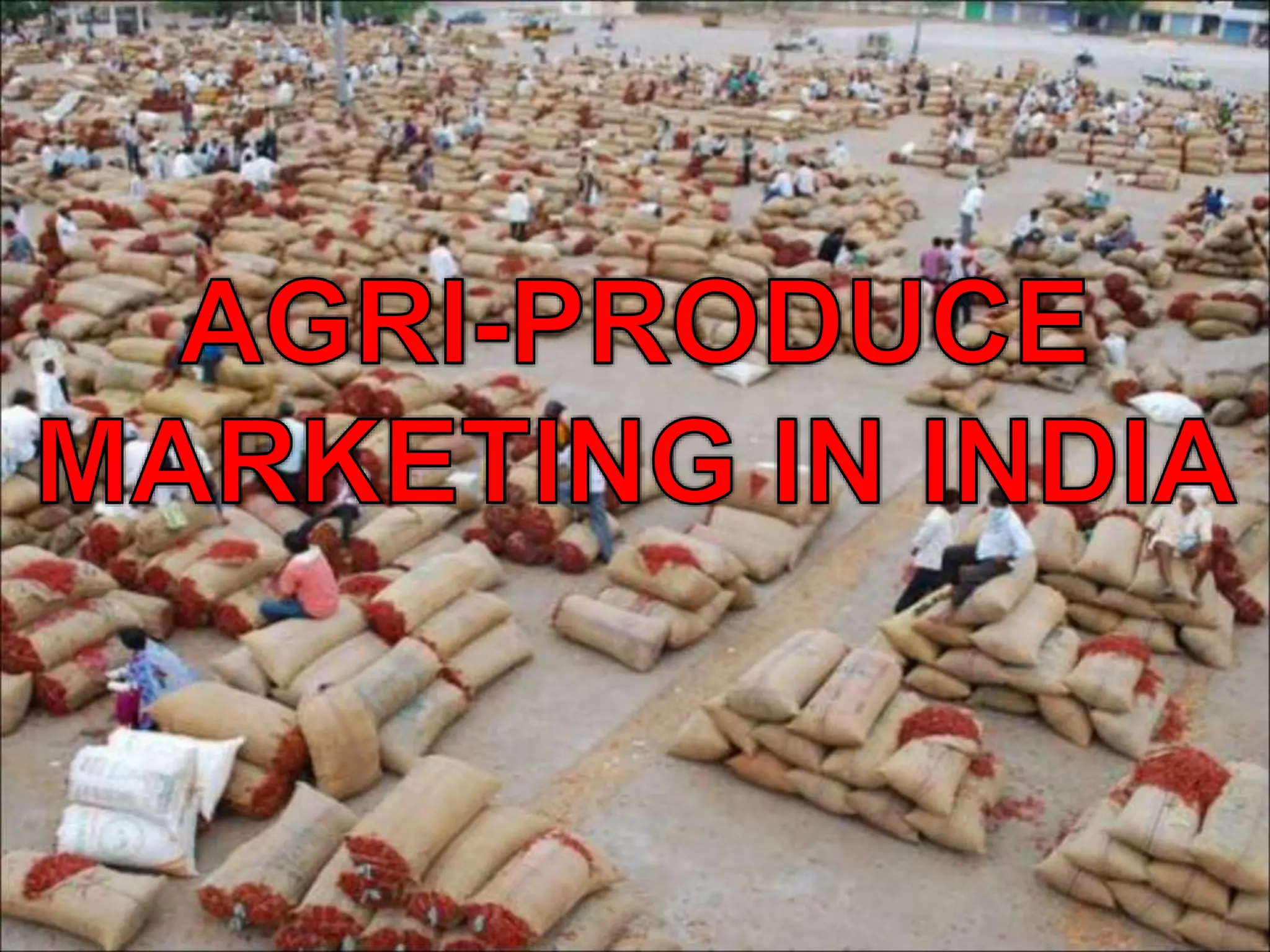 AGRI-PRODUCE MARKETING IN INDIA.ppt