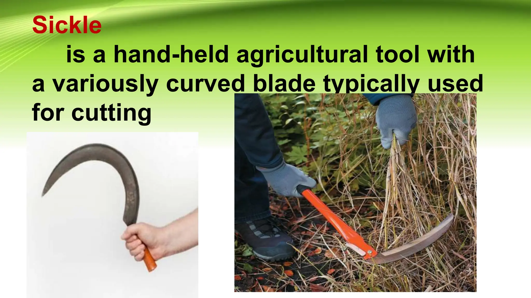 AGRICULTURE CROP PRODUCTION-TLE 7-LESSON 1.pptx | Agriculture | Industries