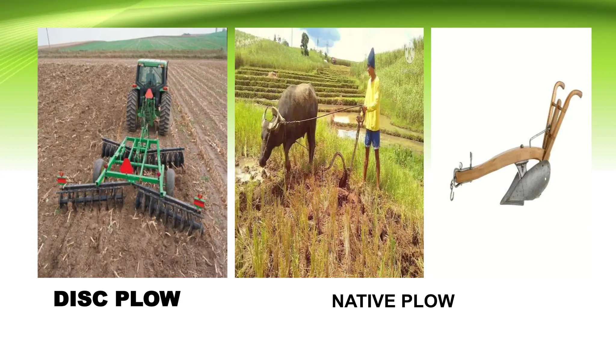 AGRICULTURE CROP PRODUCTION-TLE 7-LESSON 1.pptx