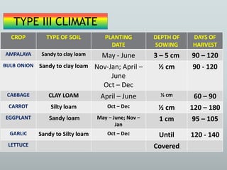 AGRI-TYPES OF CLIMATE 3RD TOPIC.pptx