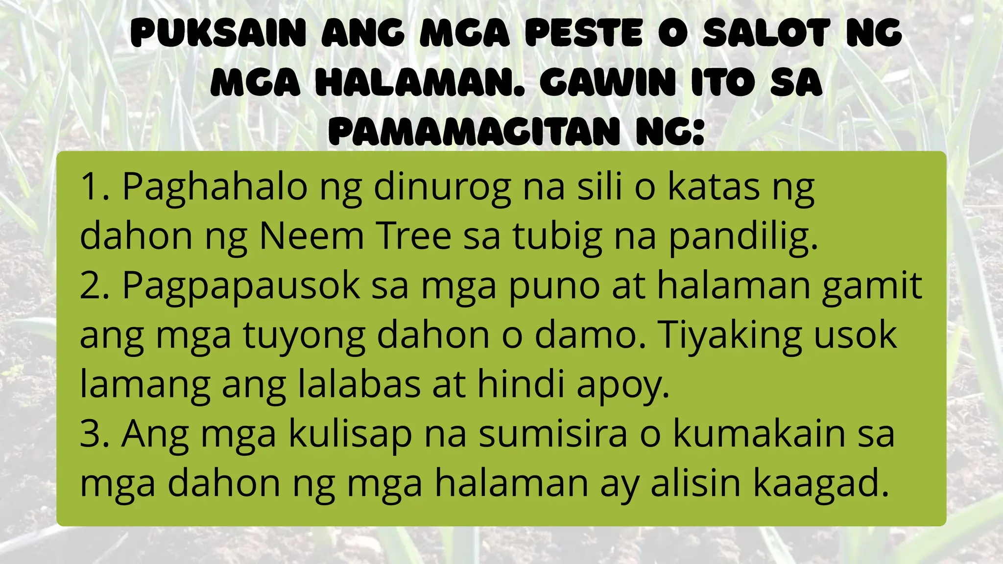 Agri 5 Wk 2 Masistemang Pangangalaga ng Tanim na mga Gulay.pptx
