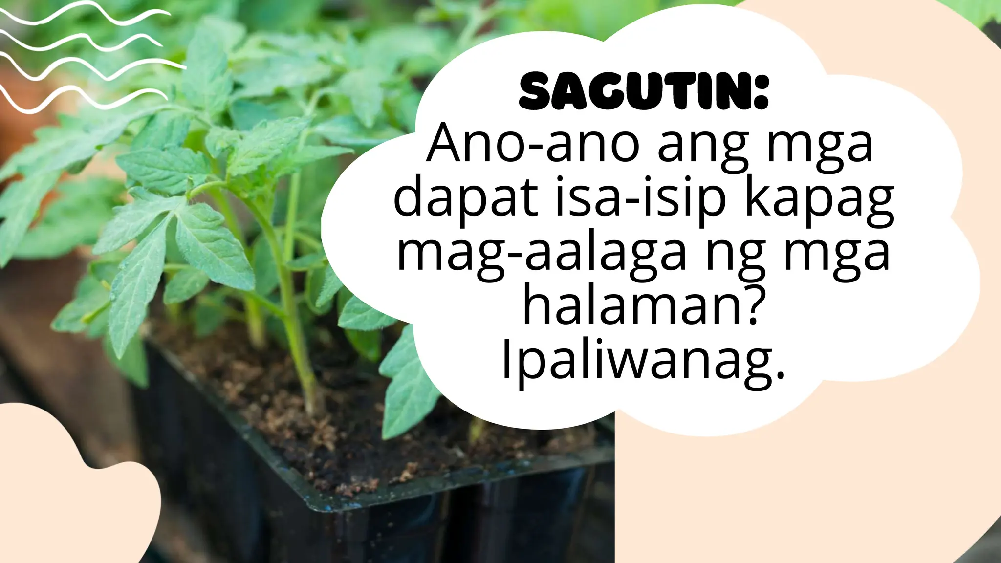 Agri 5 Wk 2 Masistemang Pangangalaga ng Tanim na mga Gulay.pptx
