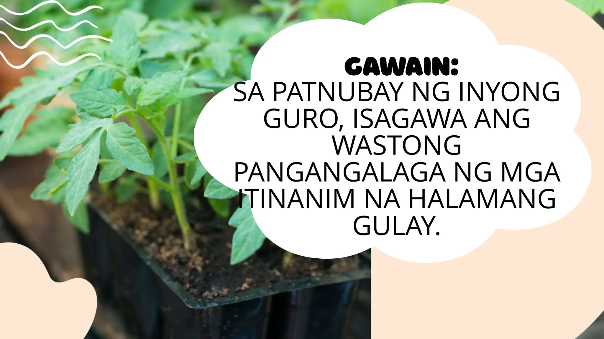Agri 5 Wk 2 Masistemang Pangangalaga ng Tanim na mga Gulay.pptx