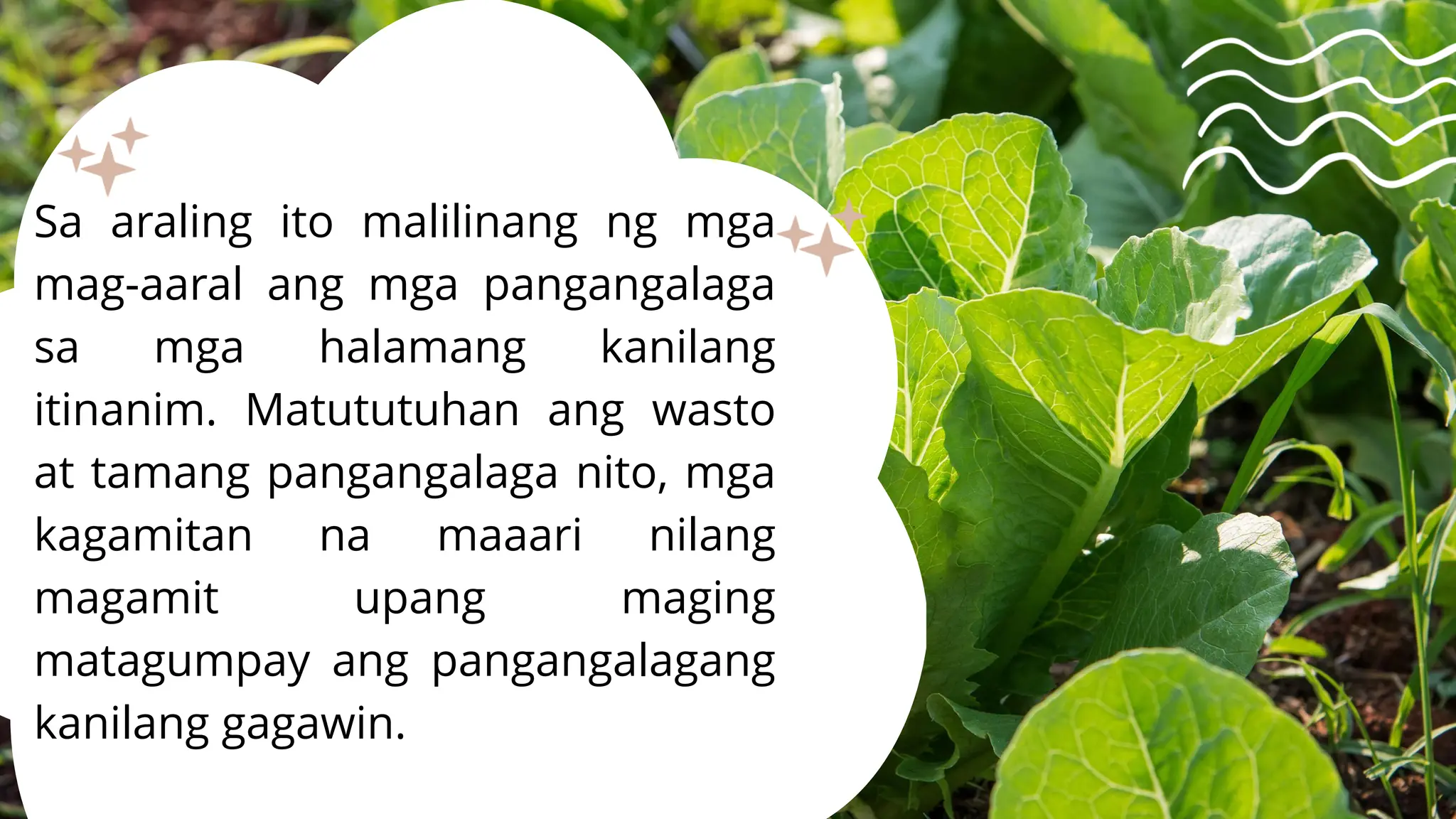 Agri 5 Wk 2 Masistemang Pangangalaga ng Tanim na mga Gulay.pptx