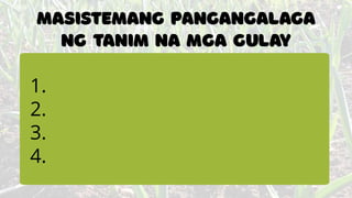 Agri 5 Wk 2 Masistemang Pangangalaga ng Tanim na mga Gulay.pptx