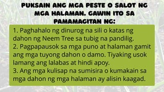 Agri 5 Wk 2 Masistemang Pangangalaga ng Tanim na mga Gulay.pptx