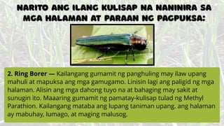 Agri 5 Wk 2 Masistemang Pangangalaga ng Tanim na mga Gulay.pptx