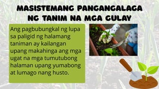 Agri 5 Wk 2 Masistemang Pangangalaga ng Tanim na mga Gulay.pptx