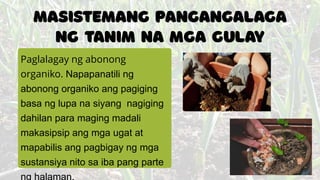 Agri 5 Wk 2 Masistemang Pangangalaga ng Tanim na mga Gulay.pptx