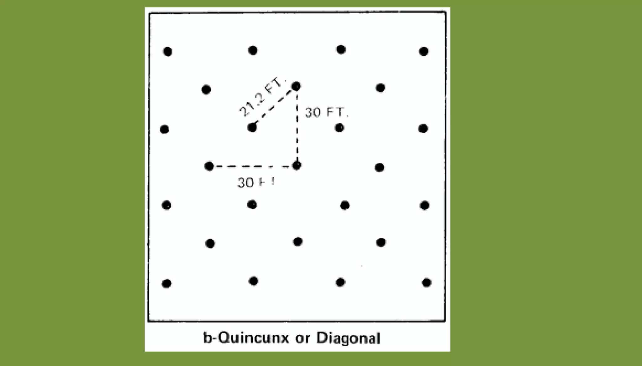 AGRI 6 ORCHARD PLANNING AND LAYOUT.pptx