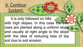 AGRI 6 ORCHARD PLANNING AND LAYOUT.pptx