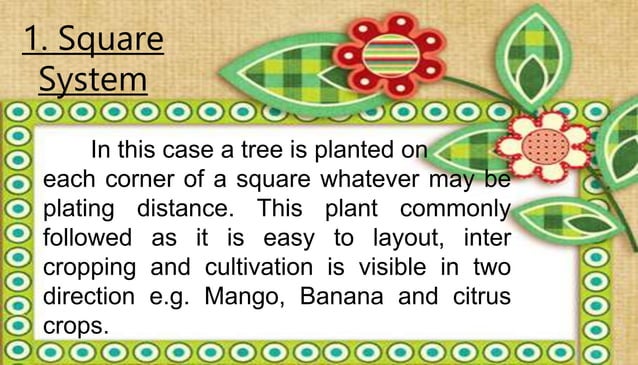 AGRI 6 ORCHARD PLANNING AND LAYOUT.pptx