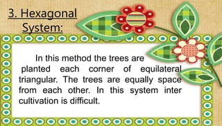 AGRI 6 ORCHARD PLANNING AND LAYOUT.pptx