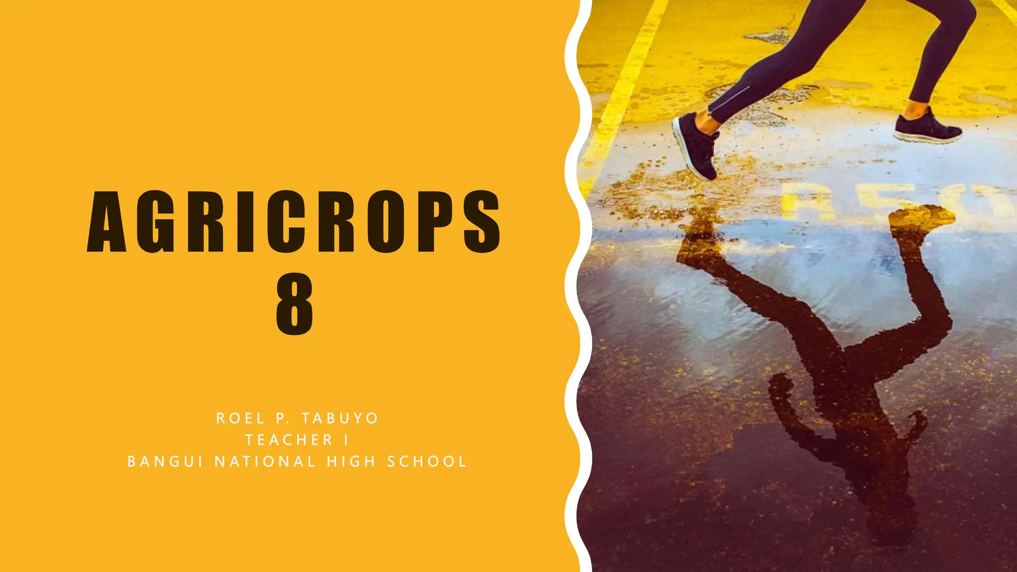 Agri8 observation.pptx