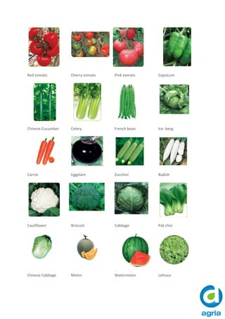 Vegetable Seeds | PDF