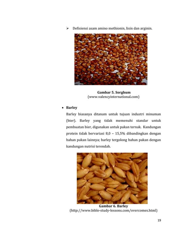 Agribisnis pakan ternak_unggas (2) | PDF