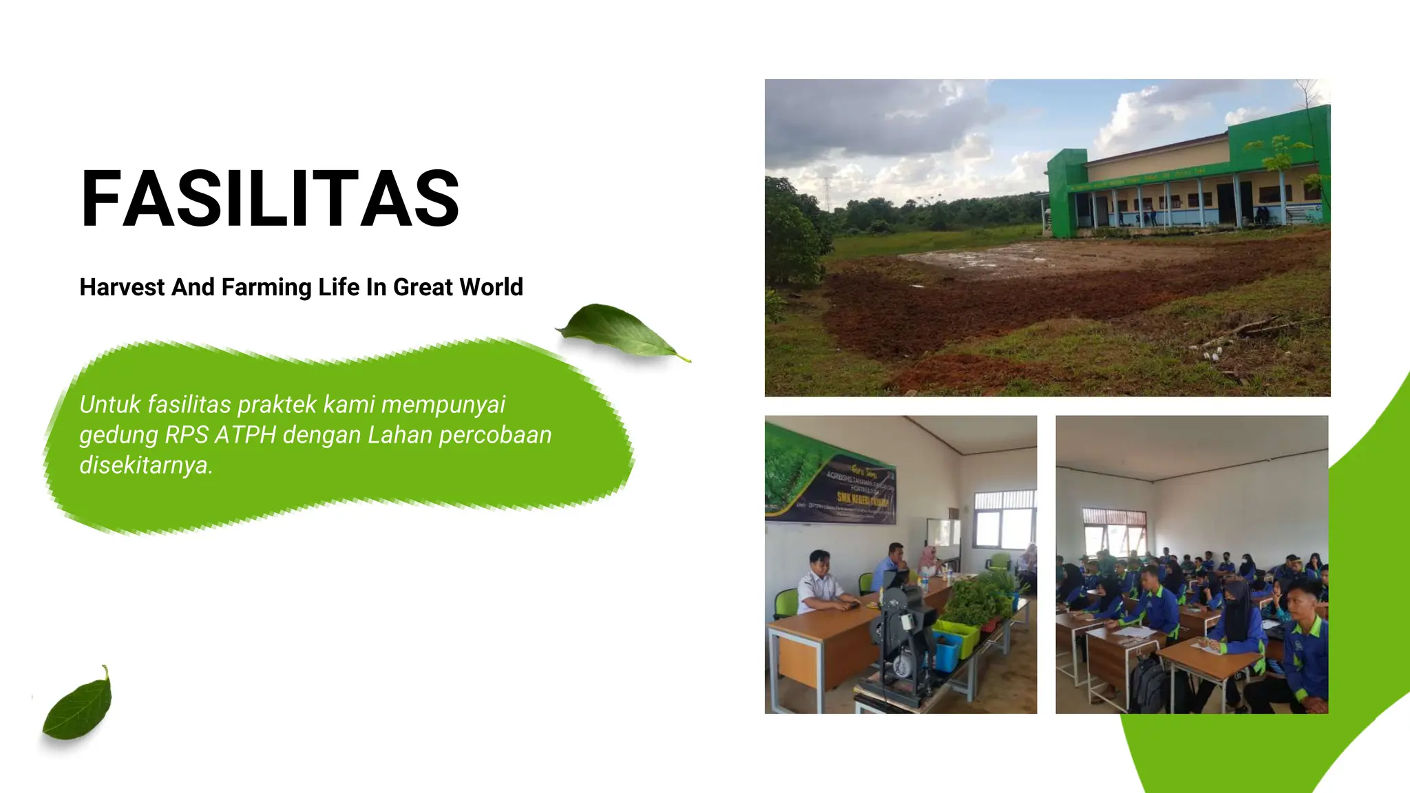 promosi SMKN 1 Kintap Jurusan agribisnis tanaman (1).pptx