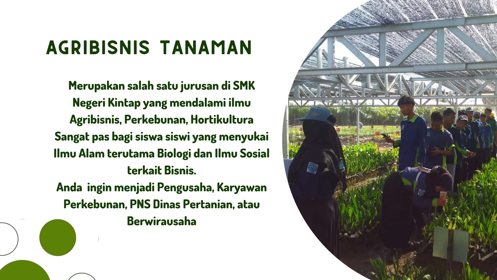promosi SMKN 1 Kintap Jurusan agribisnis tanaman (1).pptx