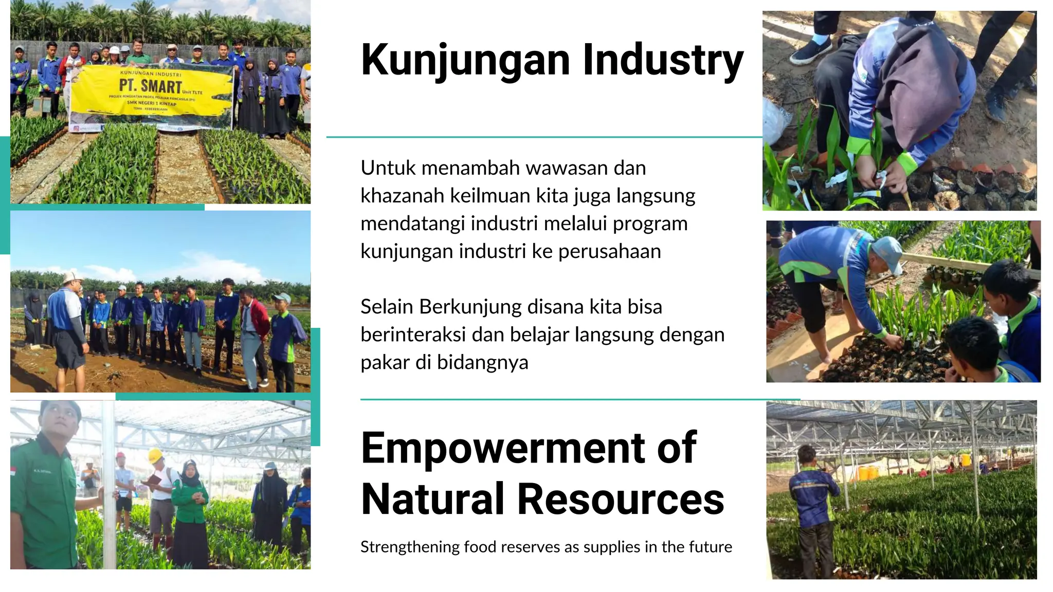 promosi SMKN 1 Kintap Jurusan agribisnis tanaman (1).pptx