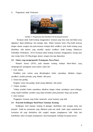 Agribisnis Tanaman Kentang.docx