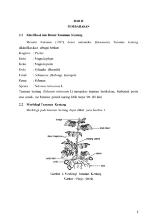 Agribisnis Tanaman Kentang.docx