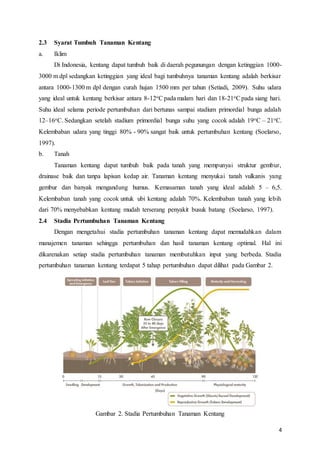 Agribisnis Tanaman Kentang.docx
