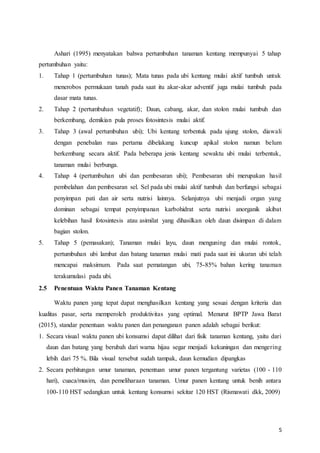 Agribisnis Tanaman Kentang.docx
