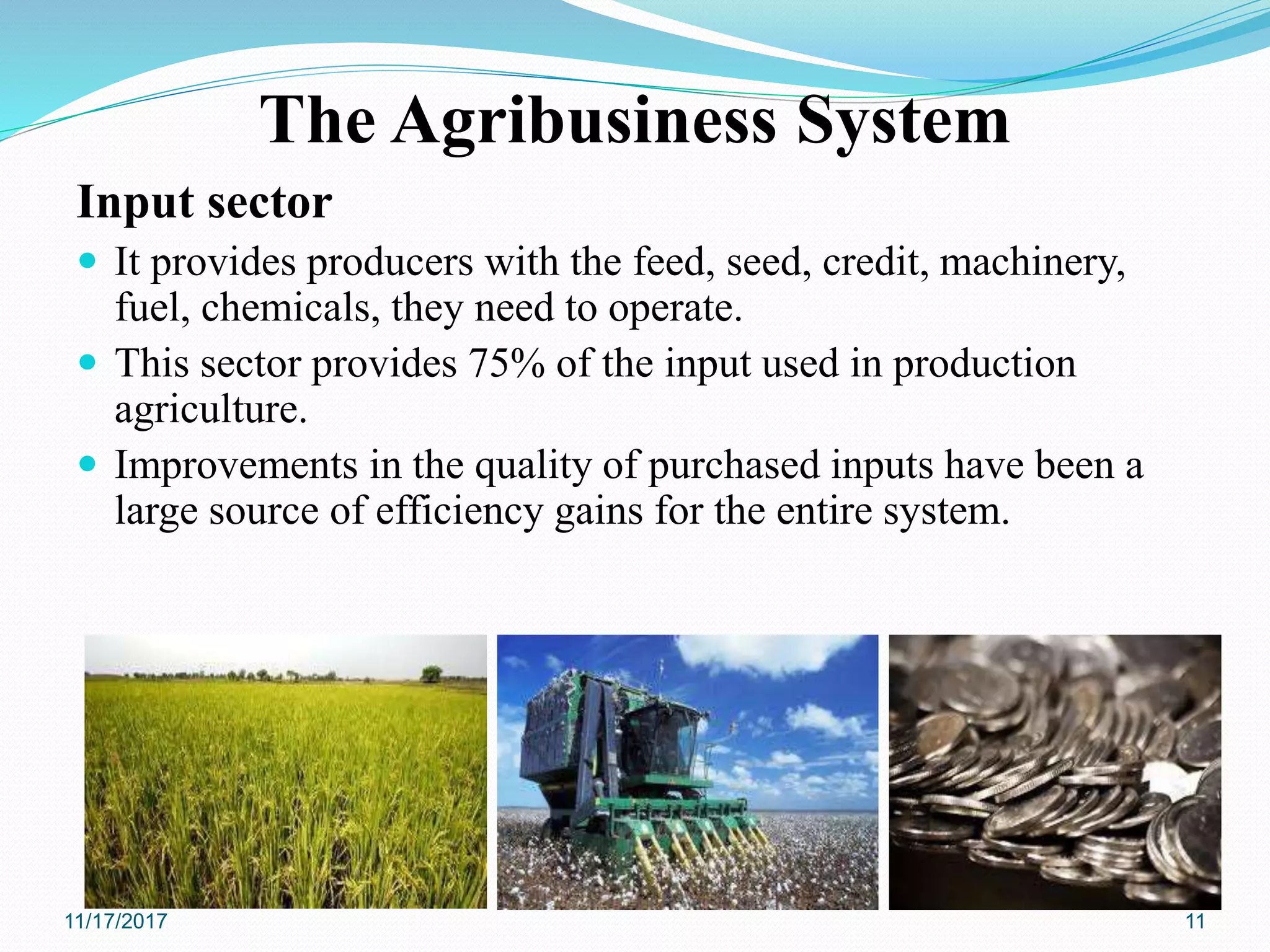 Agribusiness | PPTX