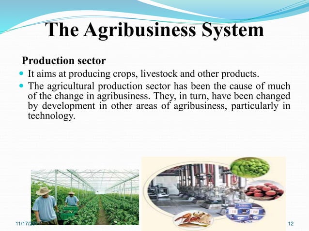 Agribusiness | PPTX | Agriculture | Industries