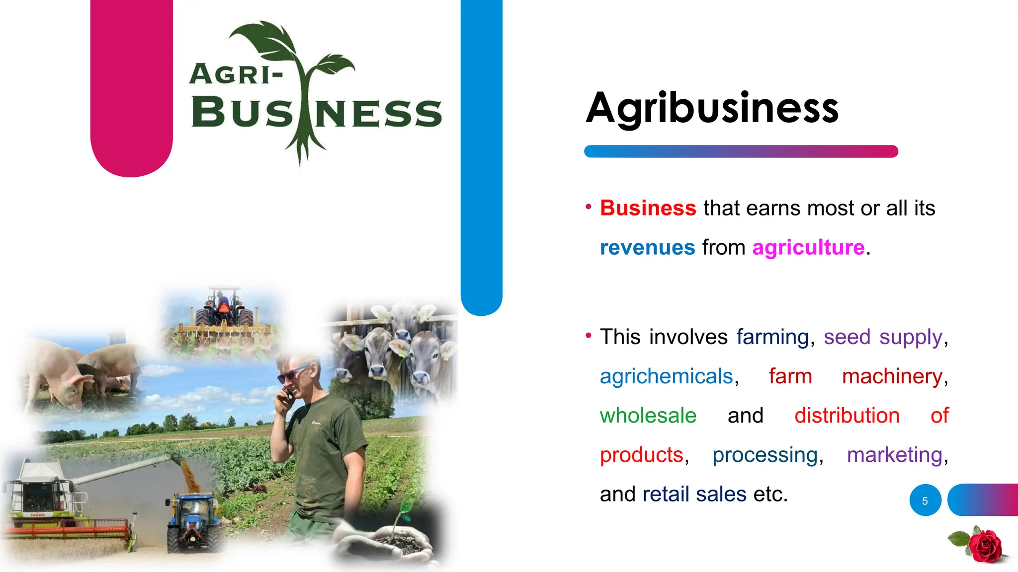 Agribusiness - Importance, Opportunities and Challenges.pptx