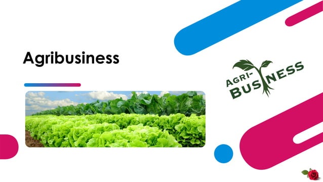 Agribusiness - Importance, Opportunities and Challenges.pptx ...