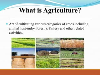 Agribusiness-Value Addition_concept and scope.pptx | Agriculture ...