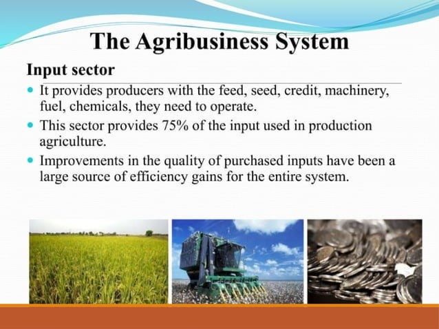 Agribusiness-Value Addition_concept and scope.pptx | Agriculture ...