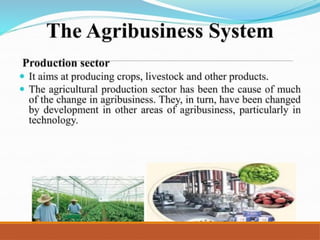 Agribusiness-Value Addition_concept and scope.pptx