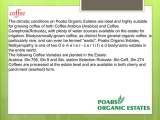 Agribusiness firms coffee | PPTX