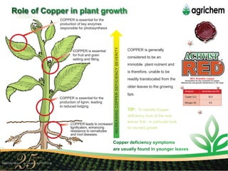 Agrichem product launch presentation | PDF