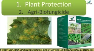 Vestige Agriculture ppt English 05.01.2020