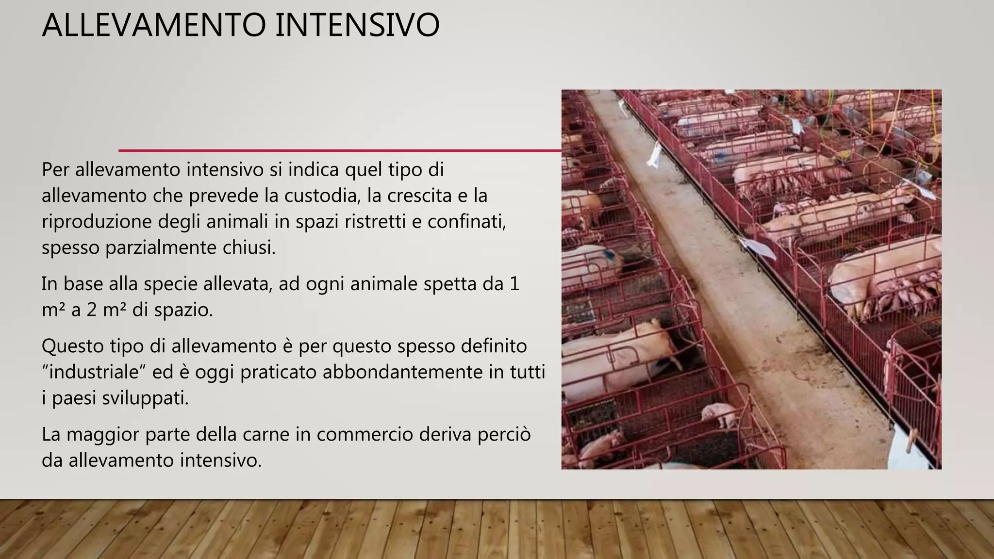 agricoltura_allevamento.pptx