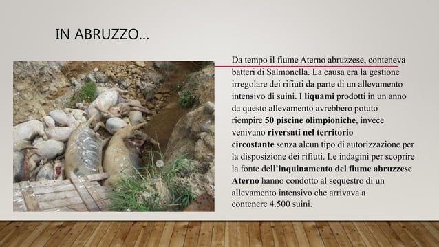 agricoltura_allevamento.pptx