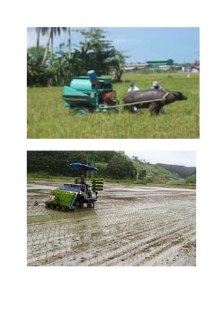 AgriCrop Production Activity 1- Oral Recitation.docx